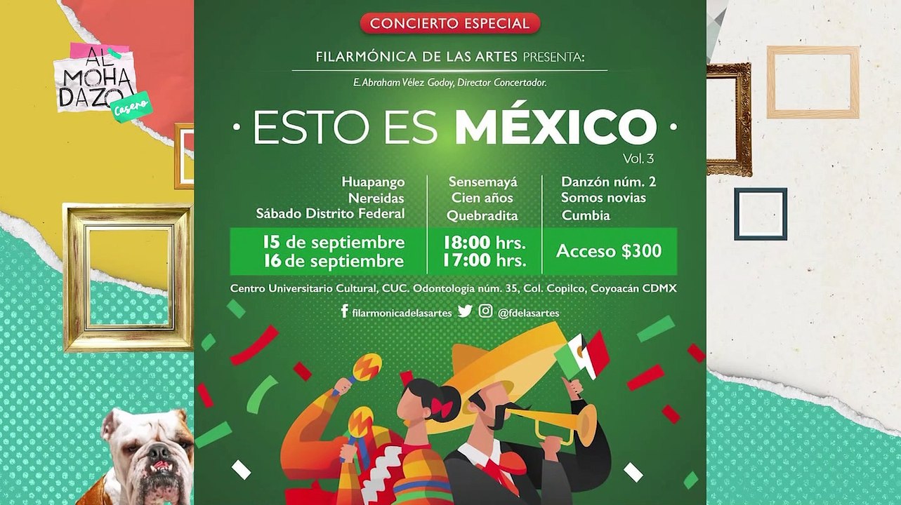 Entrevista con Enrique Abraham Vélez Godoy - Almohadazo Casero - Vídeo ...