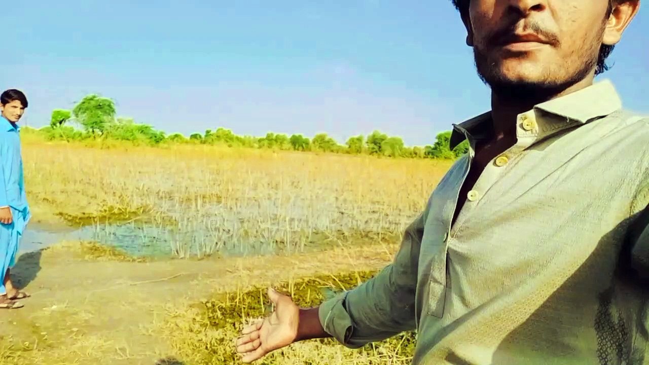 Village life vlogs - video Dailymotion