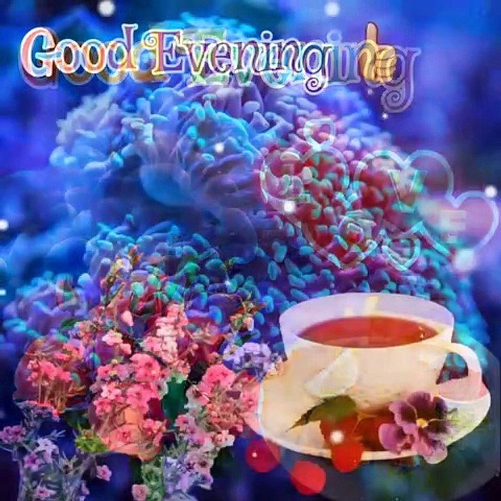 Beautiful Good Evening good evening status good evening good evening ...