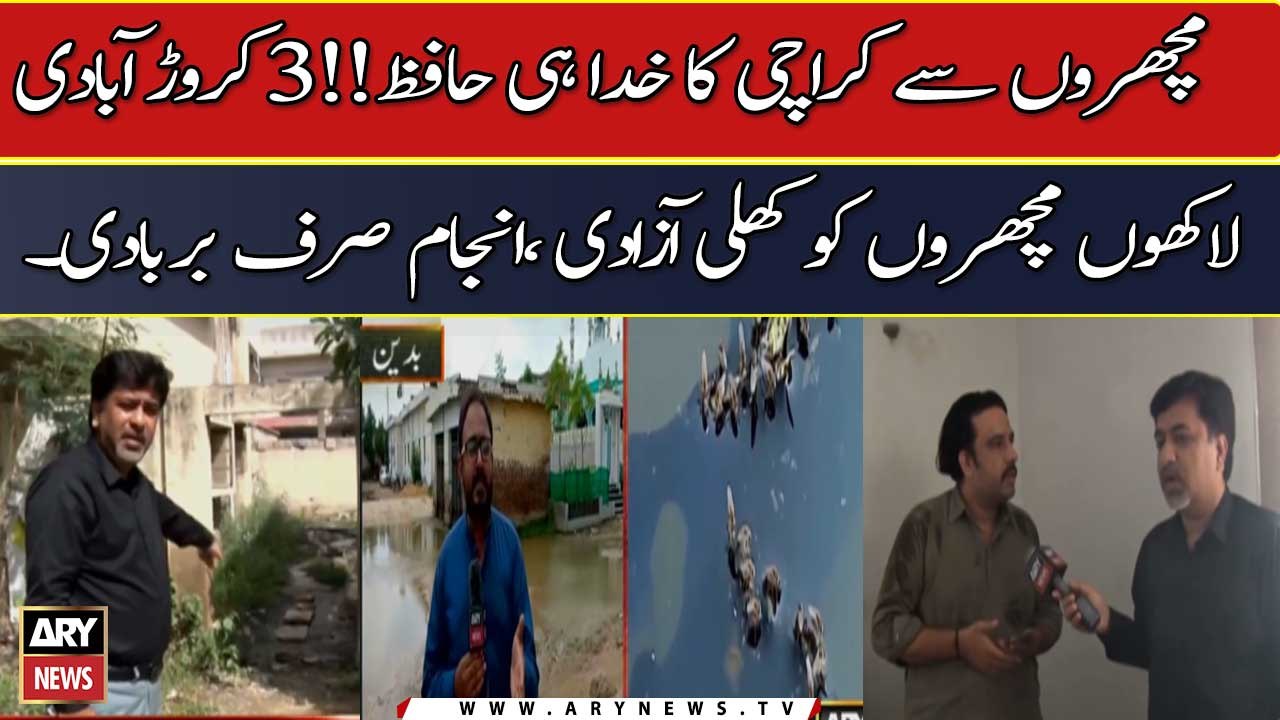 Karachi Ki Awam Macharon Say Shadeed Pareshan, Kya MacharonKay Khatmay ...