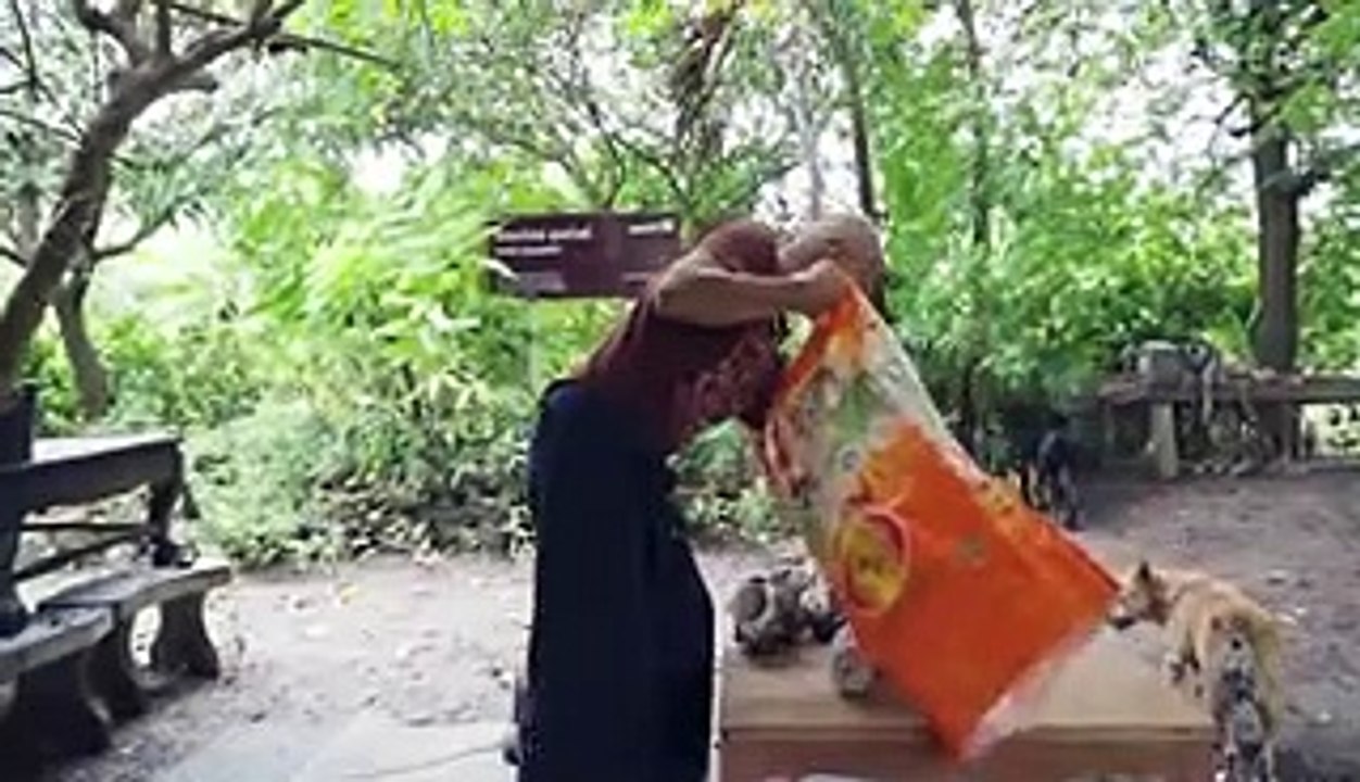 A Thai artisan is preserving a centuries-old craft by carving snail ...