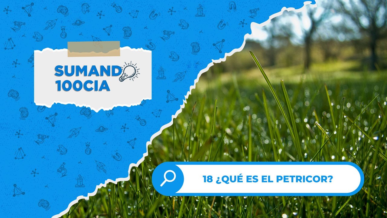 18 ¿QUÉ ES EL PETRICOR? - Vídeo Dailymotion