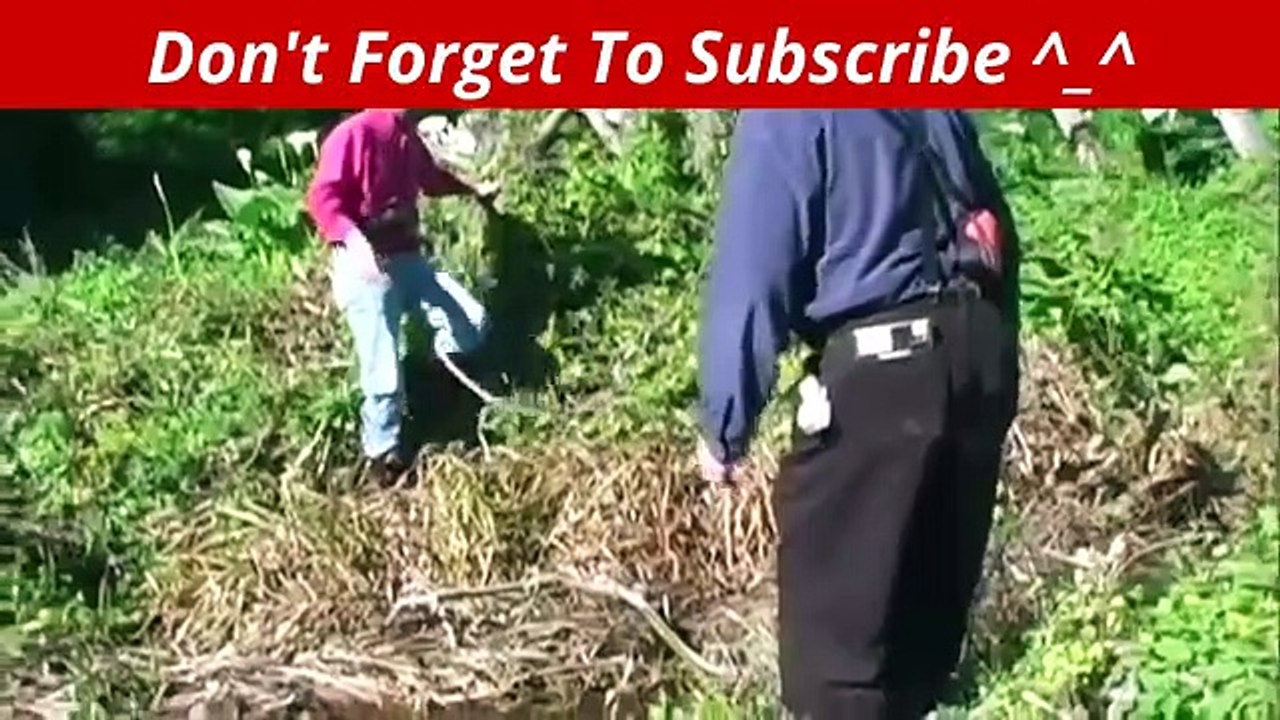 BEST Failarmy Ultimate Fails Compilation NEW - HD - 2022 - video ...