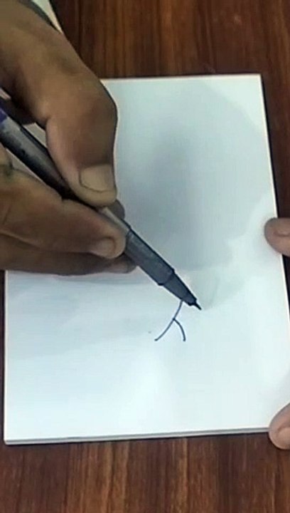 Rose flower. - video Dailymotion