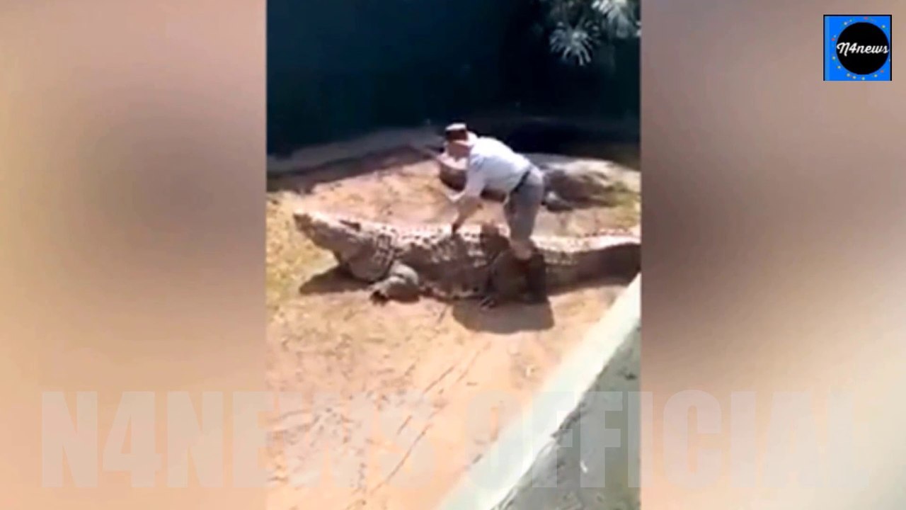 Shocking Moment Zookeeper Mauled by 16-Foot Monster Crocodile in Front ...