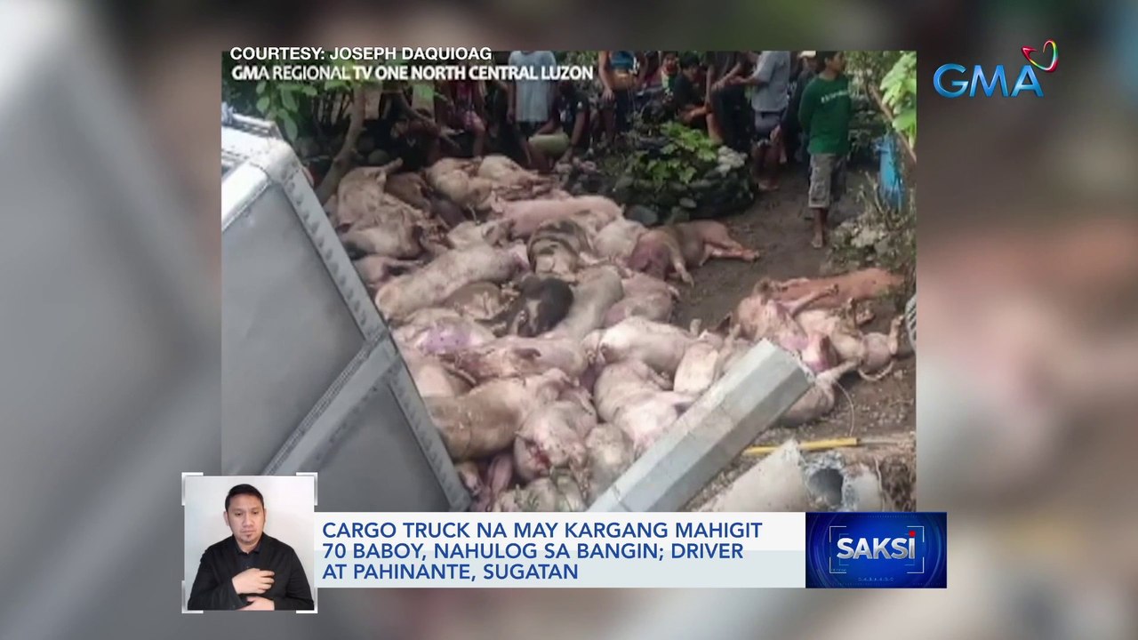 Cargo truck na may kargang mahigit 70 baboy, nahulog sa bangin; driver ...