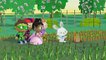 Super Why - Peter Rabbit (Reversed) - video Dailymotion