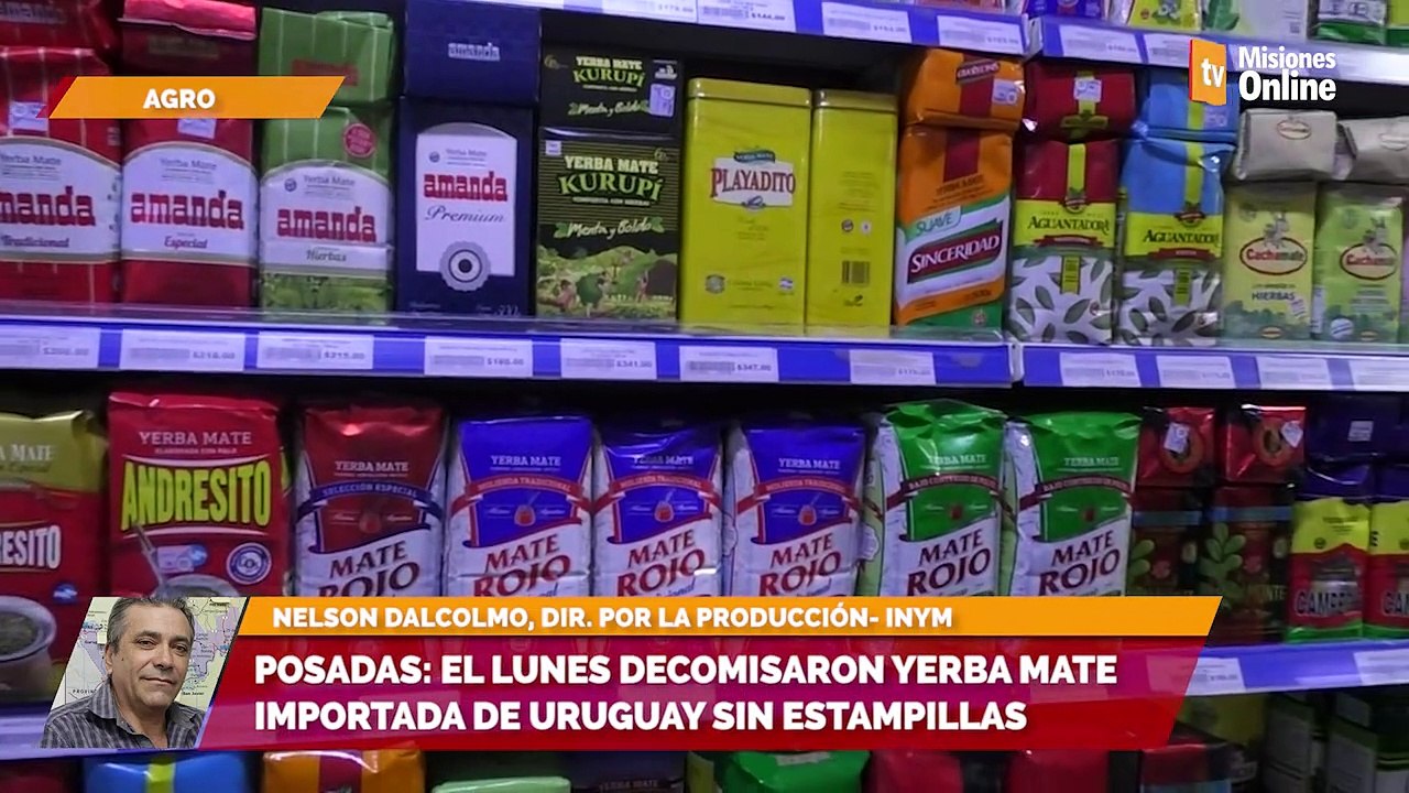Posadas: el lunes decomisaron yerba mate importada de Uruguay sin ...