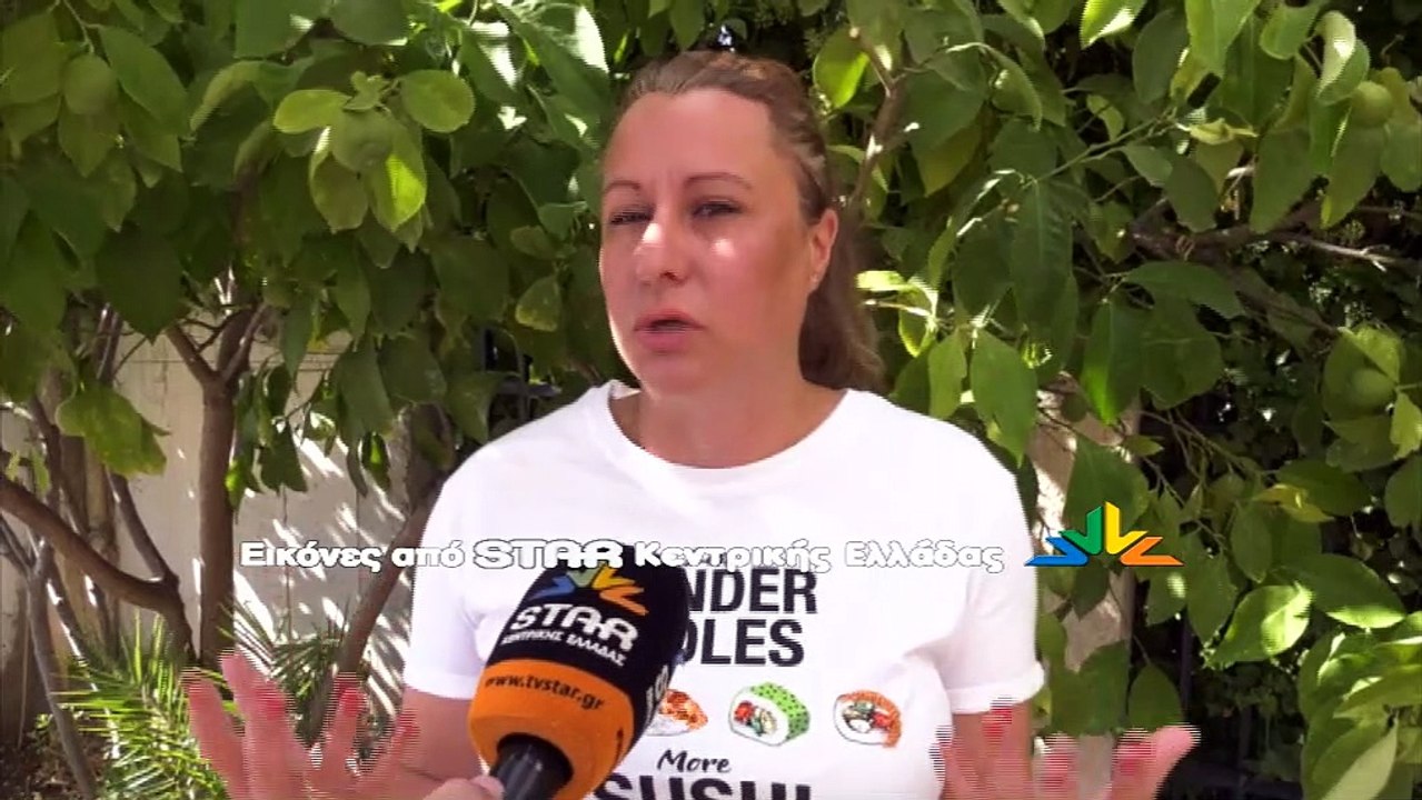 Η μητέρα του 5χρονου που δέχθηκε επίθεση από σκύλο στη Λαμία - video ...