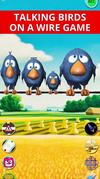 Talking Birds On A Wire Game Fun ️ Big Fun Gameplay - video Dailymotion