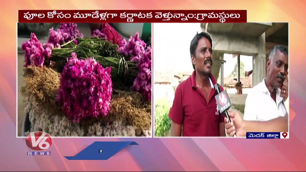 Huge Demand For Gunugu puvvu& Thangedu puvvu, Villagers Facing Problems ...