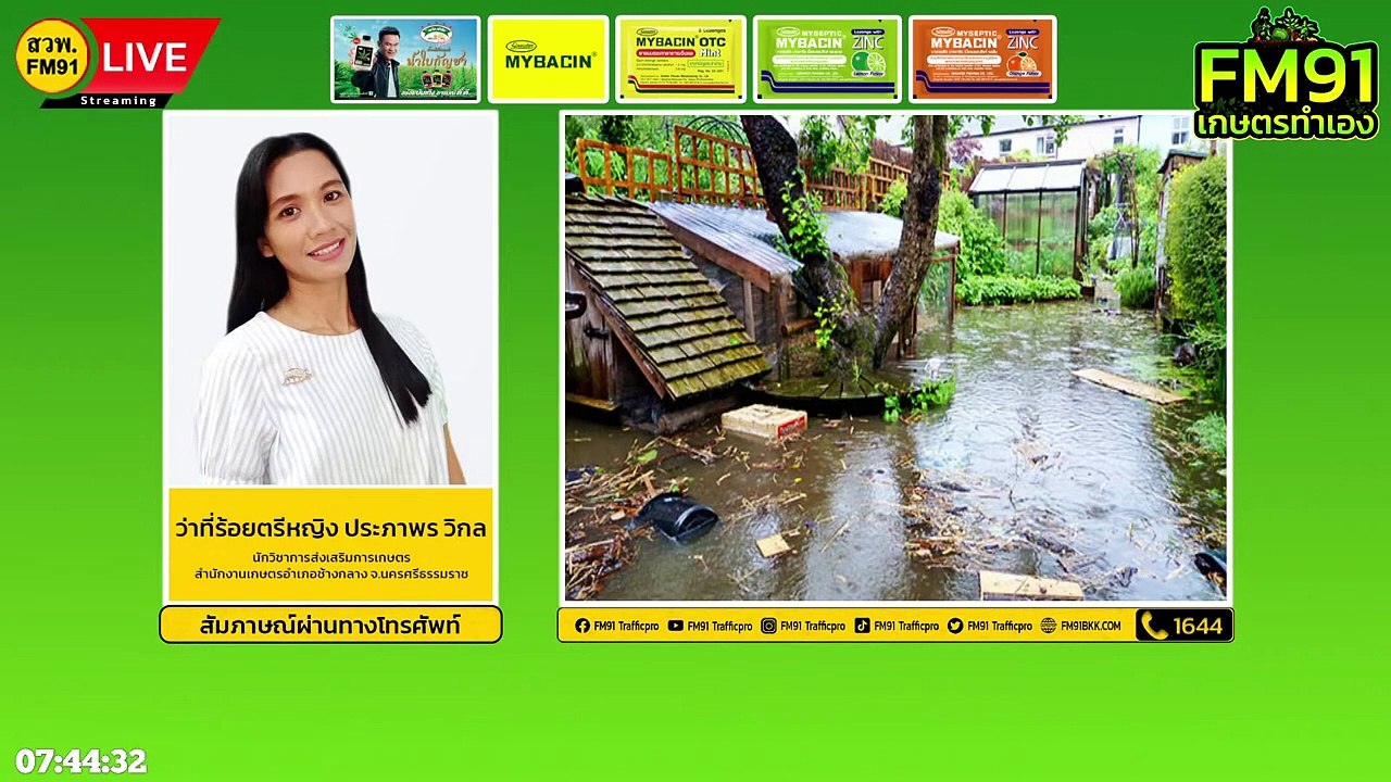 การฟื้นฟู ดูแลต้นไม้หลังน้ำท่วม : FM91 เกษตรทำเอง : 9 ตุลาคม 2565 - video Dailymotion