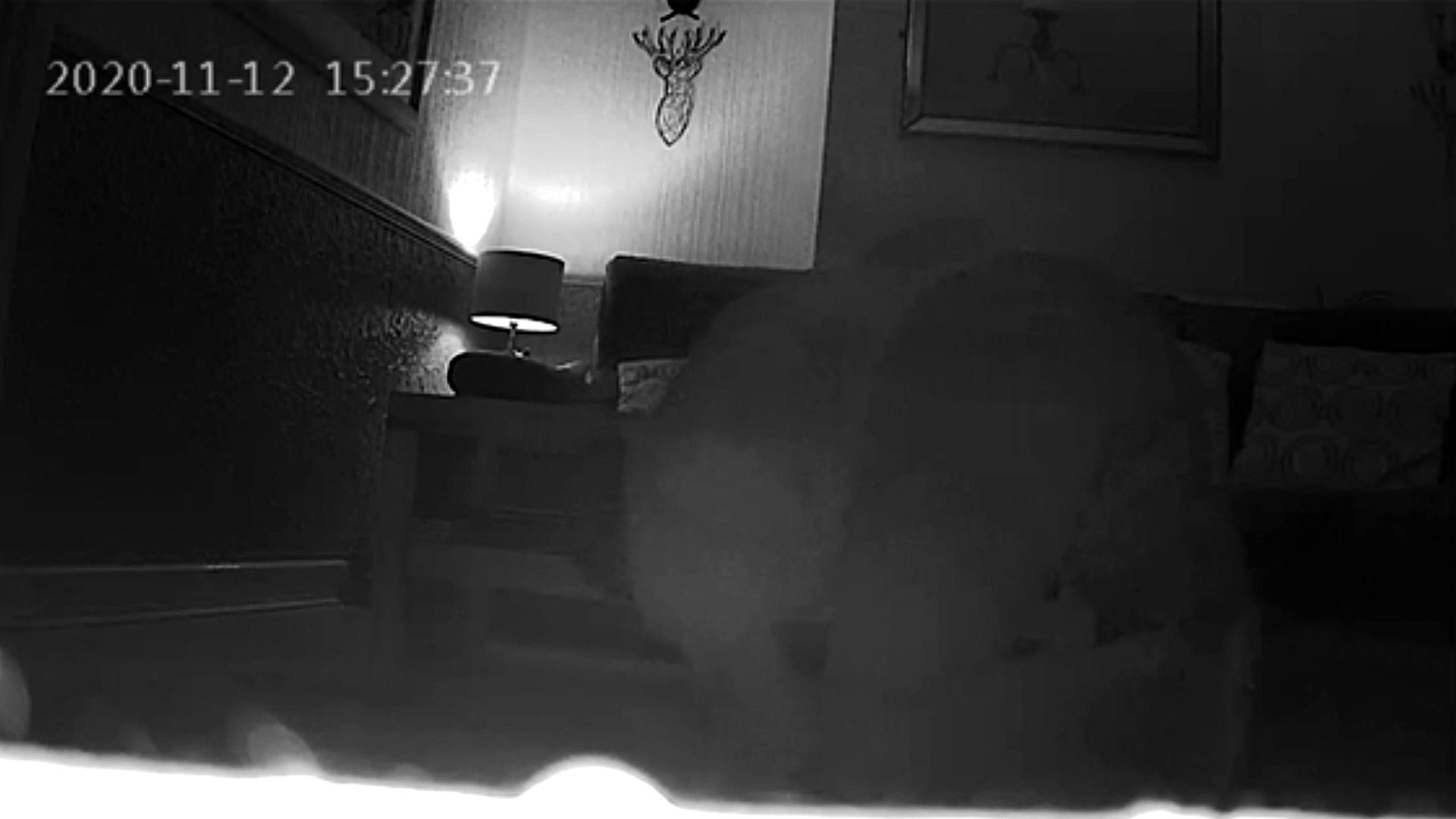 Creepy Stalker Pictures