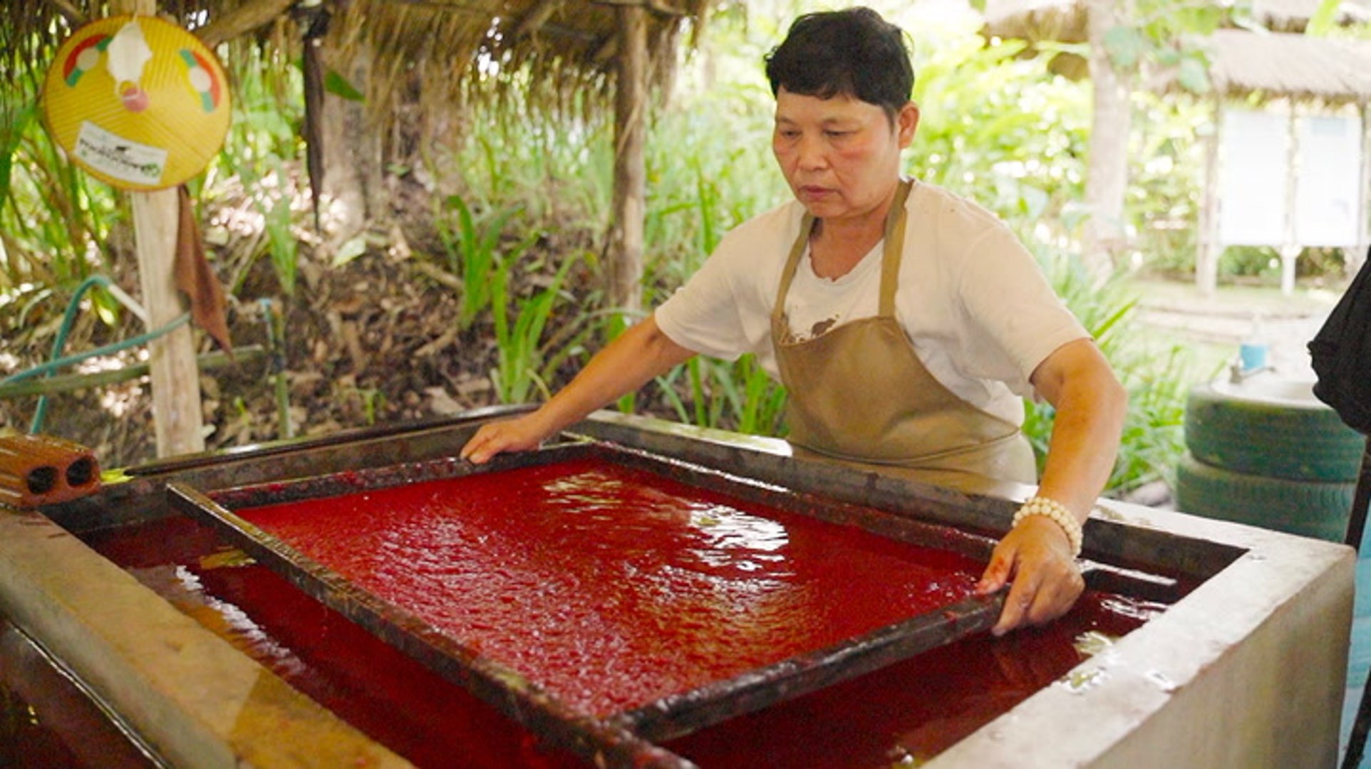 How paper made of poop could save elephants and trees