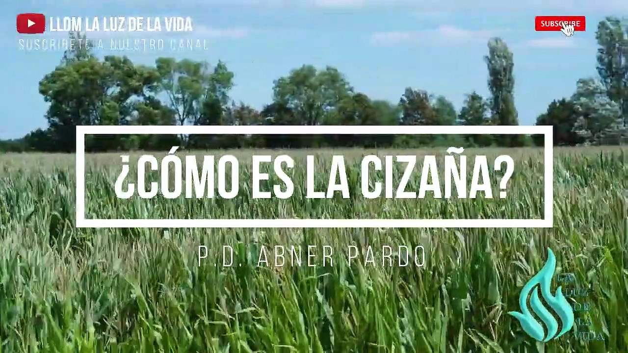 ¿Cómo es la cizaña? - Vídeo Dailymotion