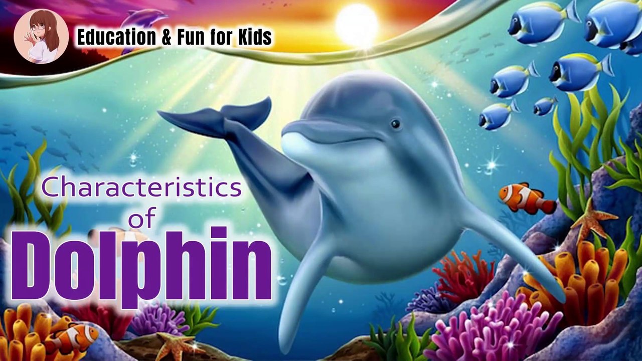 All About Dolphins for Kids: Dolphins for Children I Education & Fun ...