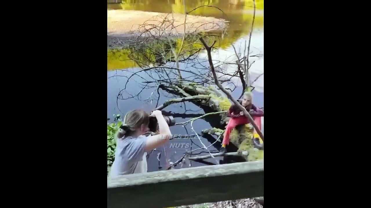 Can you resist laughing_ - Video Dailymotion