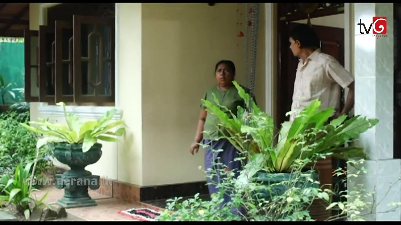 Neela Paligu Diya Episode 45 - video Dailymotion