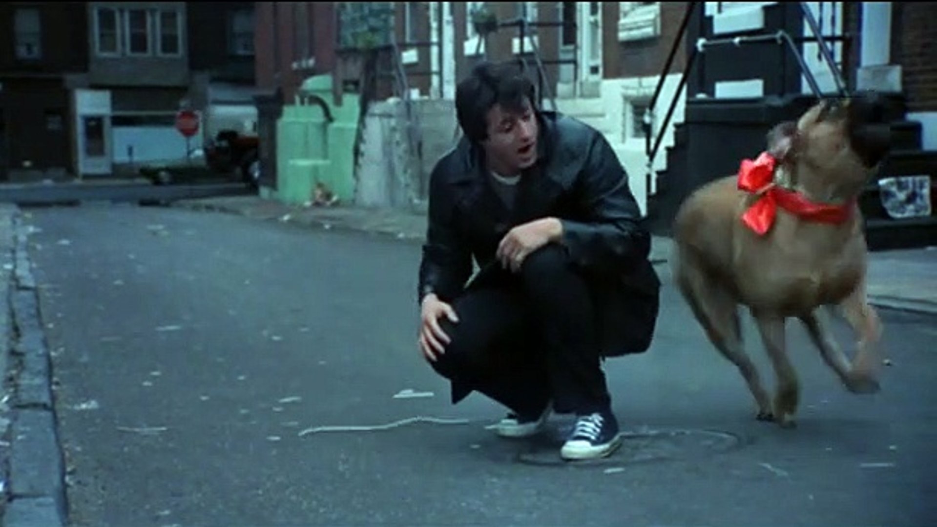 What Happened To Rocky Dog Butkus