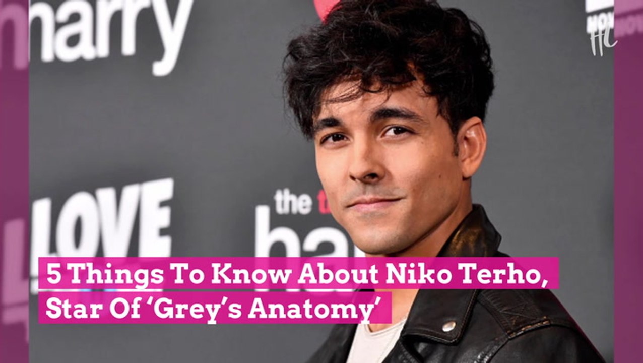 5 Things To Know About Niko Terho, Star Of Grey's Anatomy - video ...