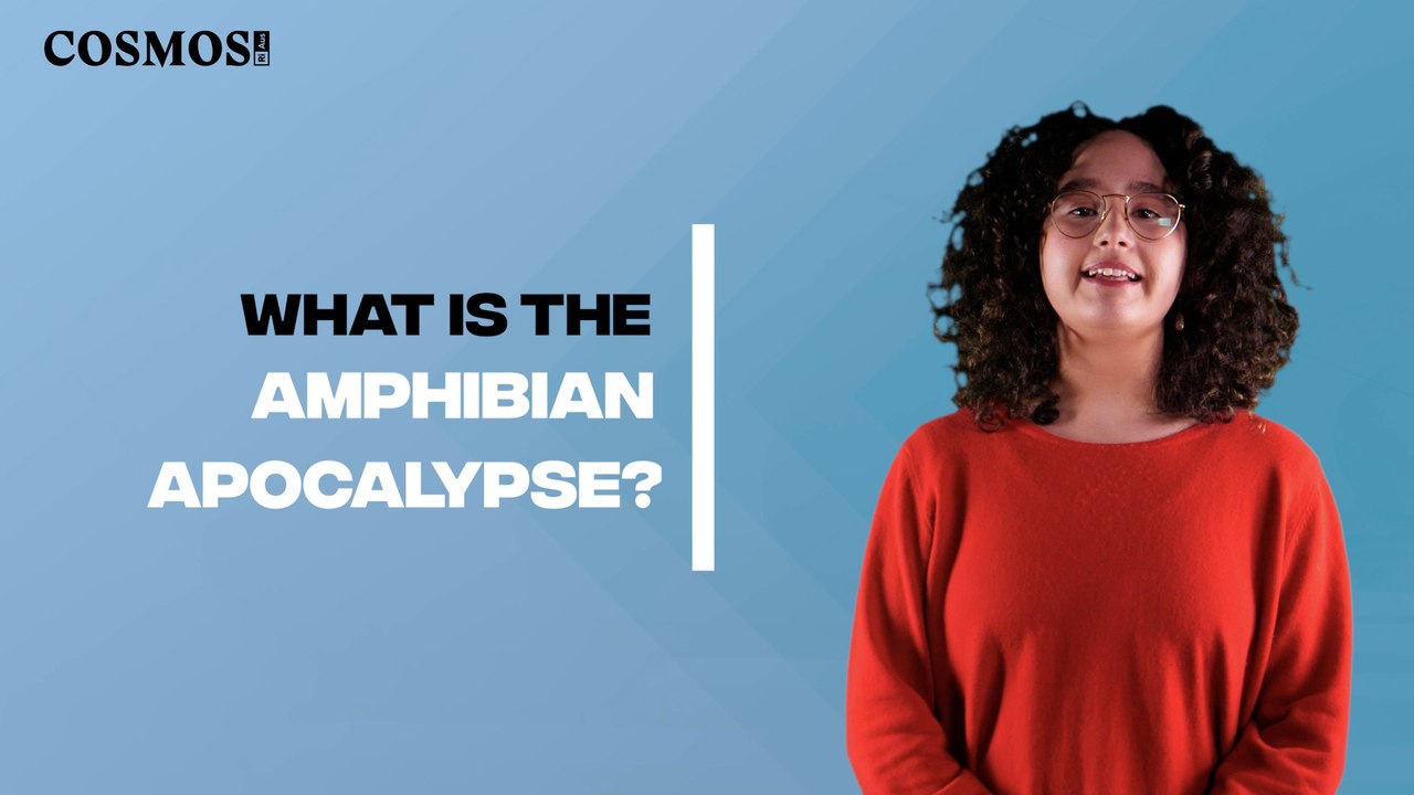 What is the 'frog apocalypse'? | October 12, 2022 | Cosmos Magazine ...