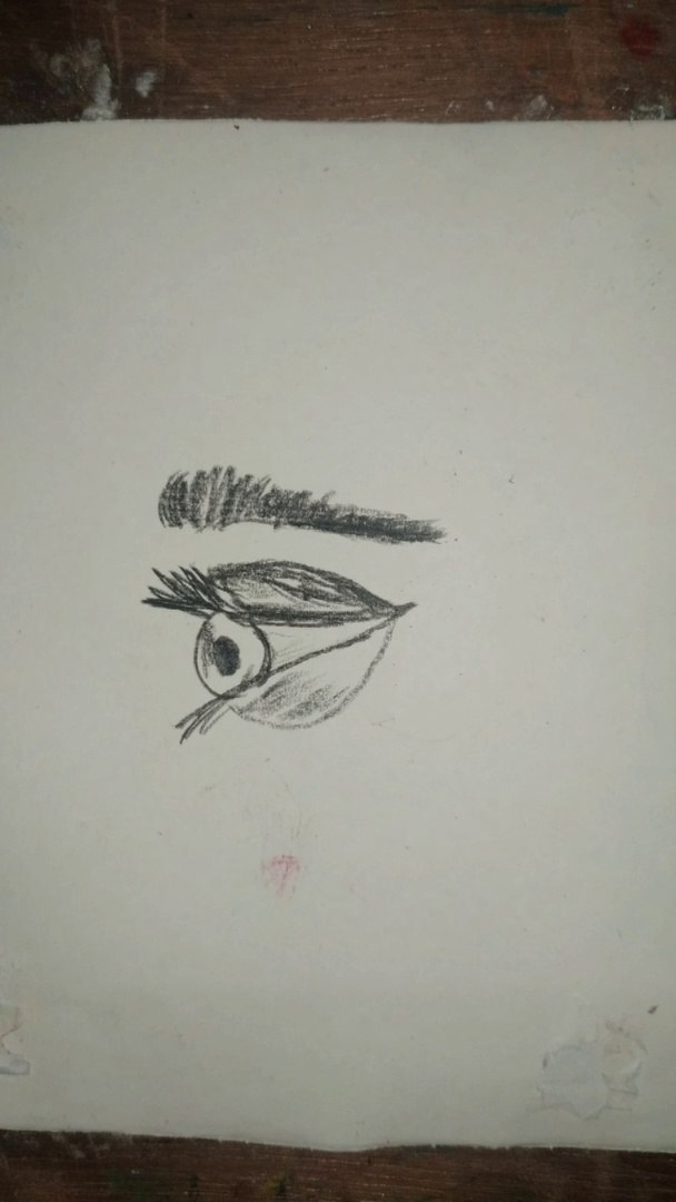 Eye Side View Drawing