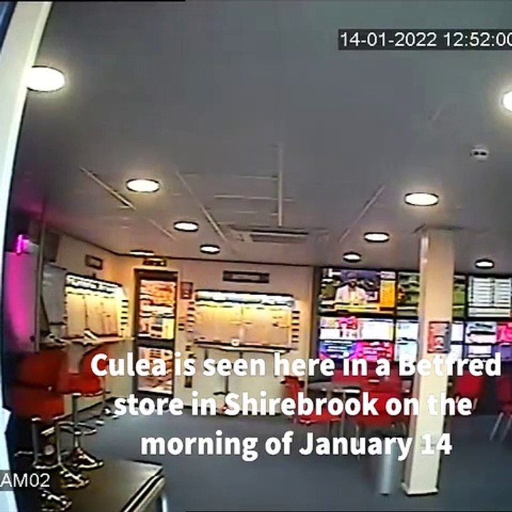 Vasile Culea trial - video Dailymotion