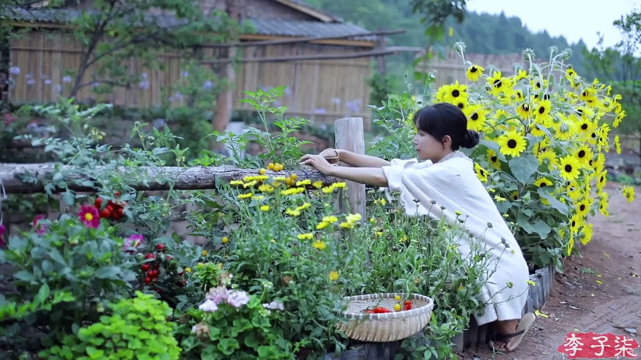 The life of tomato ~ Liziqi - video Dailymotion