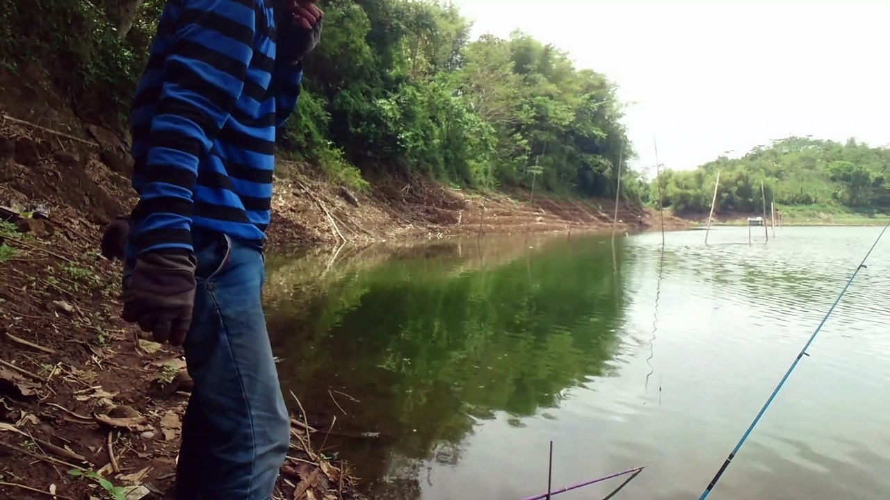 Mancing ikan wader - Video Dailymotion