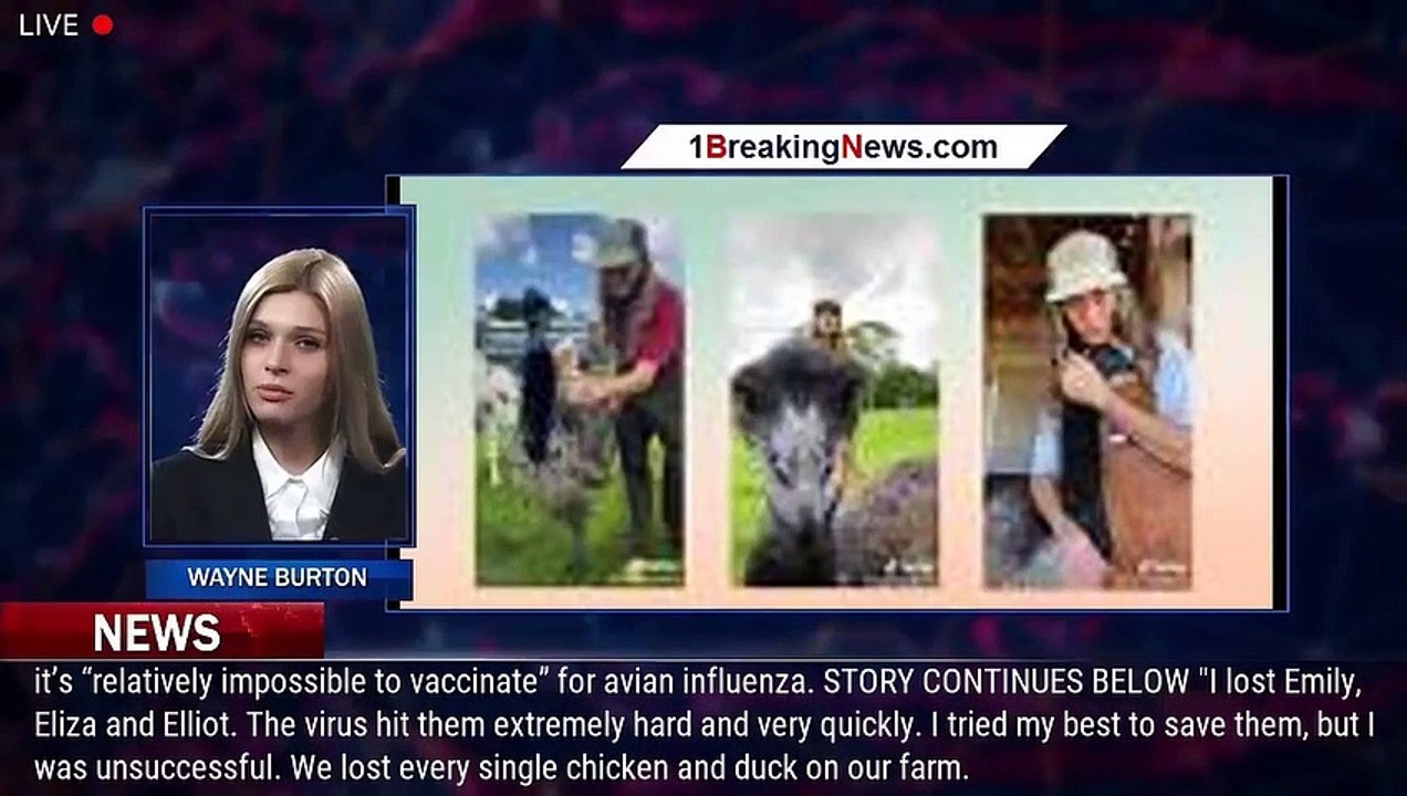 TikTok-Famous Emu Emmanuel Sick With Avian Influenza, Caretaker Taylor ...