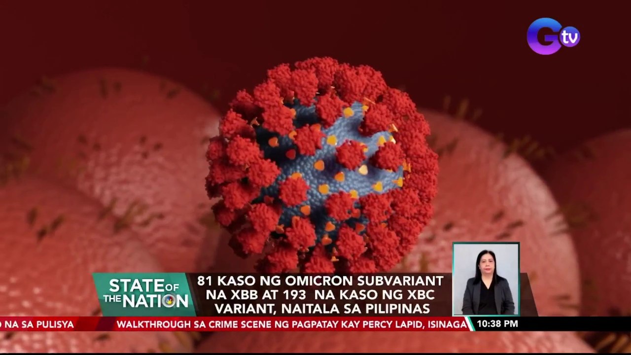 81 kaso ng Omicron Subvariant na XBB at 193 na kaso ng XBC Variant, naitala sa Pilipinas | SONA ...
