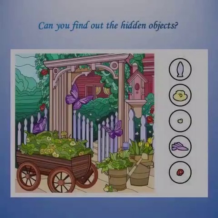 Can you #Findout the hidden object? - Video Dailymotion