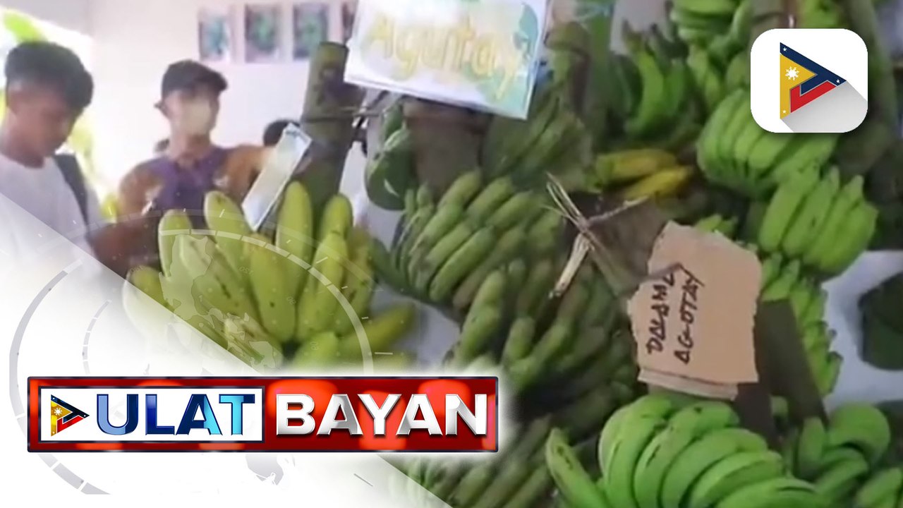 Iba't ibang klase ng saging, ibinida sa 36th Sagingan Festival sa Tubod ...