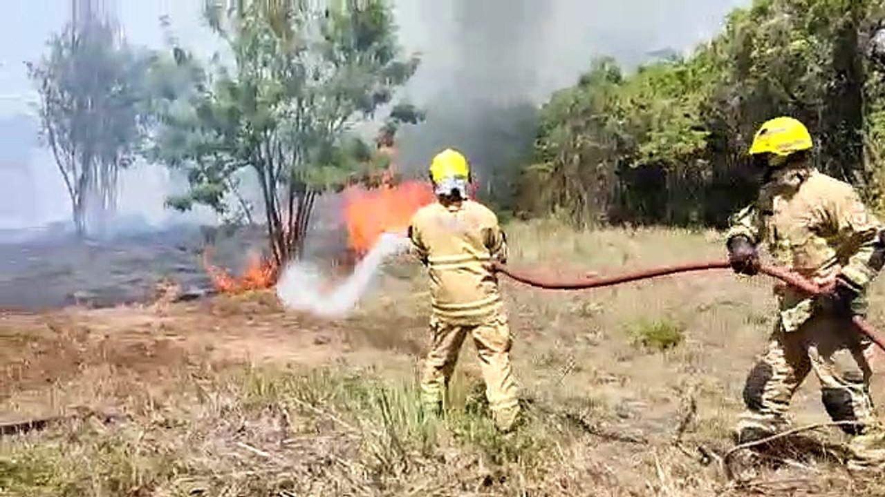 Bombeiros tentam apagar fogo no matagal próximo ao CAIC Juscelino ...