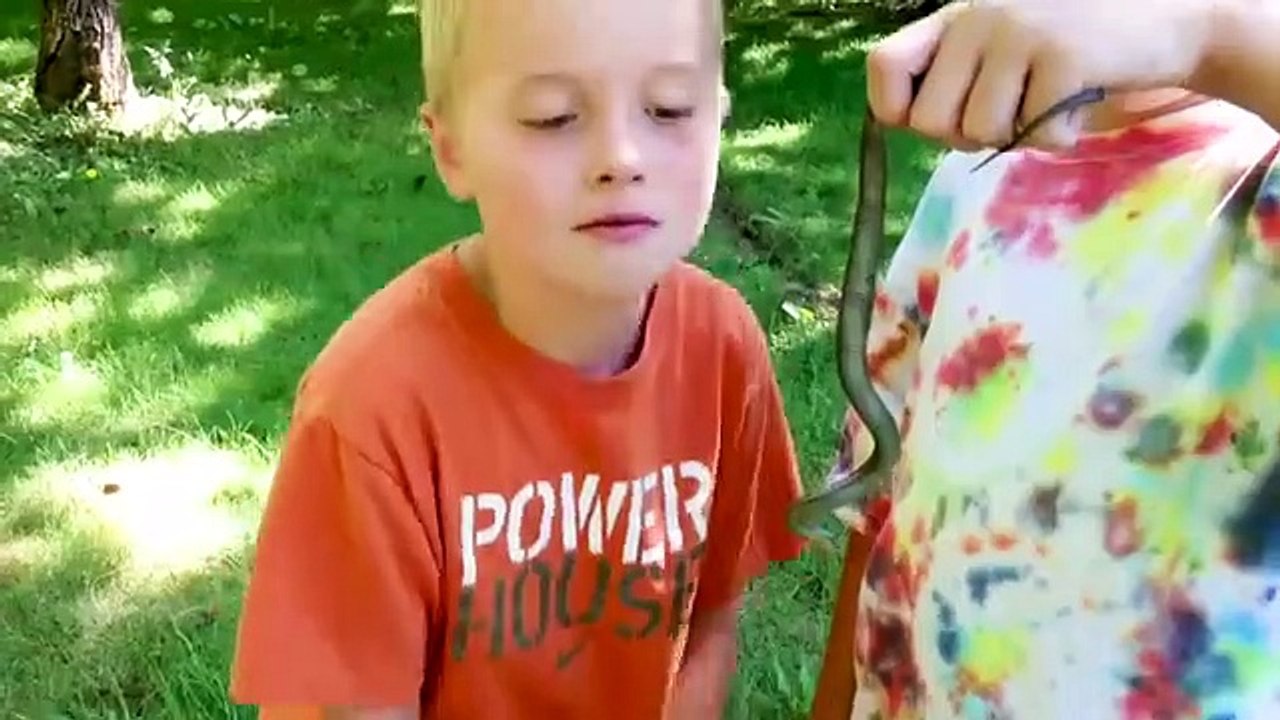 Funny Fun Comedy Cool Videos - video Dailymotion