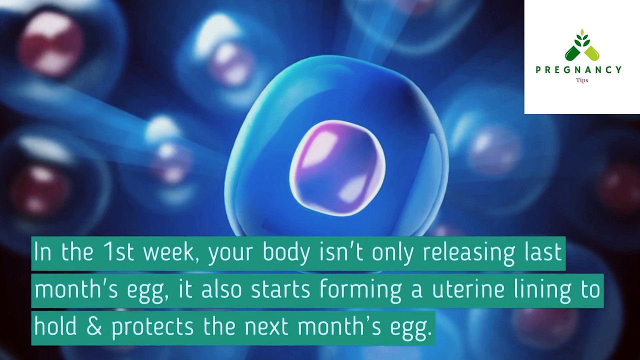 1 Week pregnancy - video Dailymotion