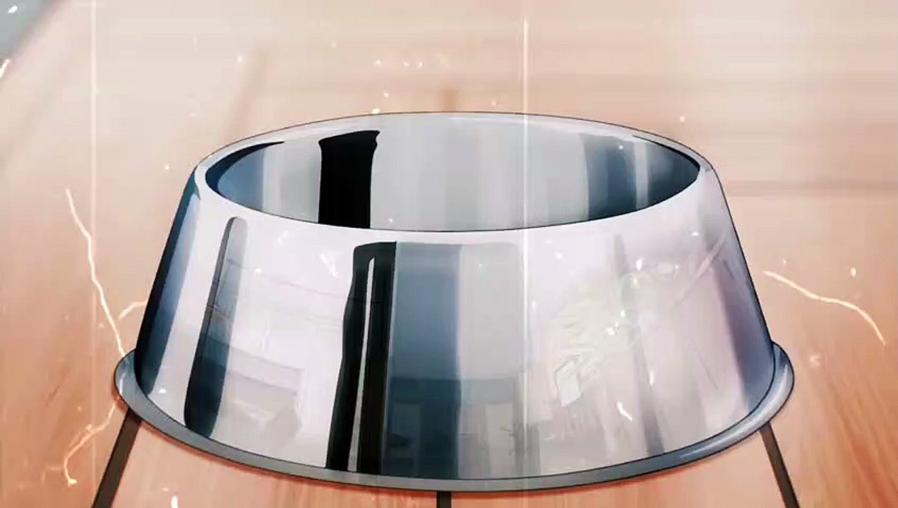 Cute Anya Forger Eats Dog Food (Anime Spy x Family) - Video Dailymotion