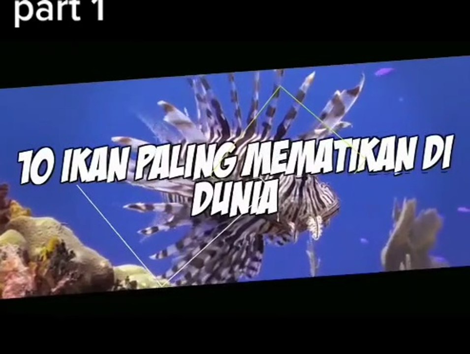 10 Ikan paling Mematikan di dunia Part 1 - video Dailymotion