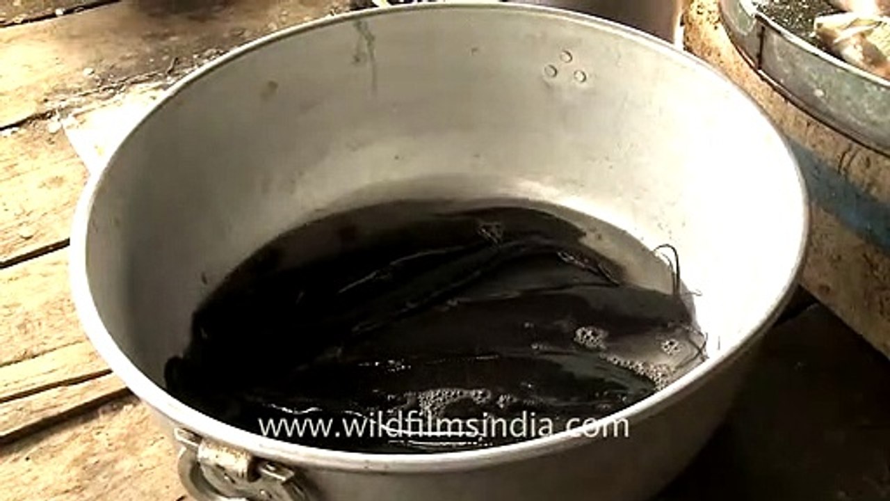 Cat fish or Ngakra sold in Senapati bazaar, Manipur - video Dailymotion