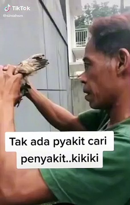 Semprotan tai burung.lucu viral - Video Dailymotion