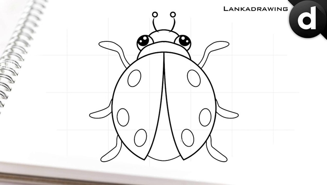 learn to draw cute and simple beetles 2 - video Dailymotion