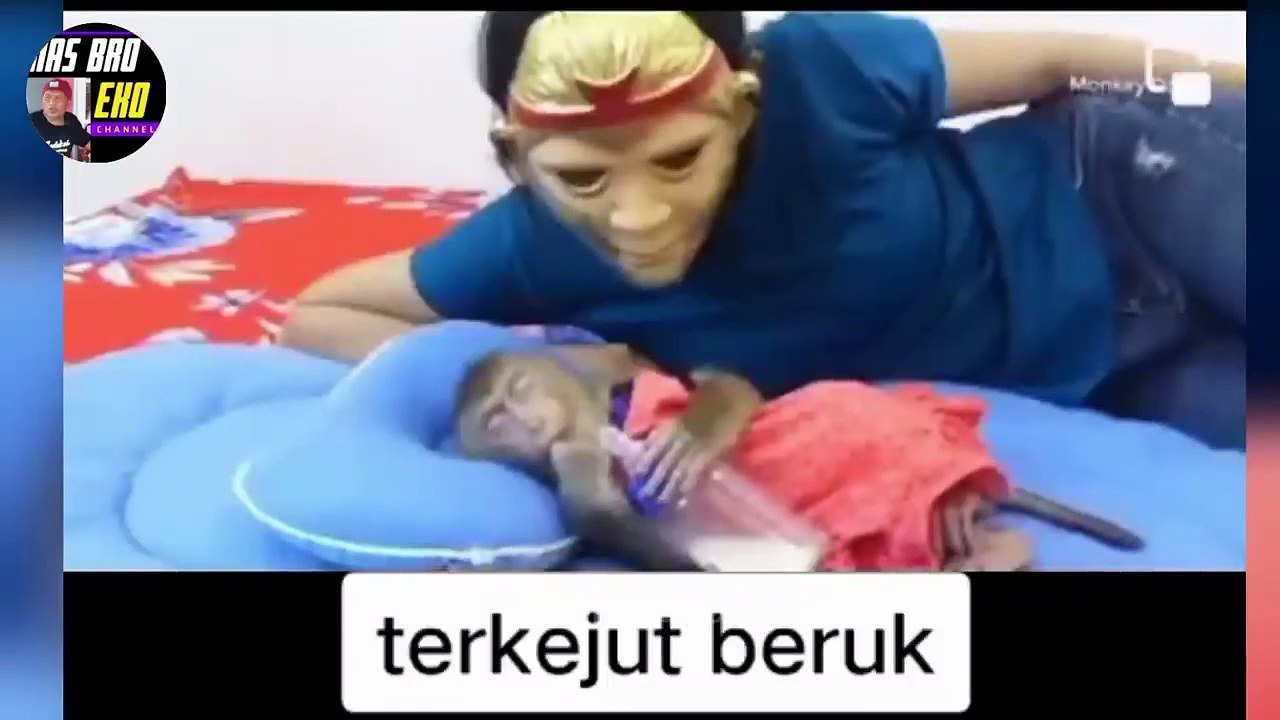 VIDEO LUCU BIKIN NGAKAK SAMPAI SAKIT PERUT ASUPAN MEME LUCU RANDOM PARA ...