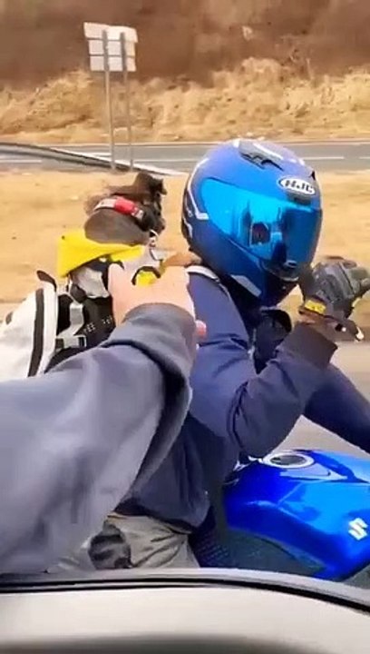 Funny silent motions,, funny video silent, funny silent motion 2022 ...