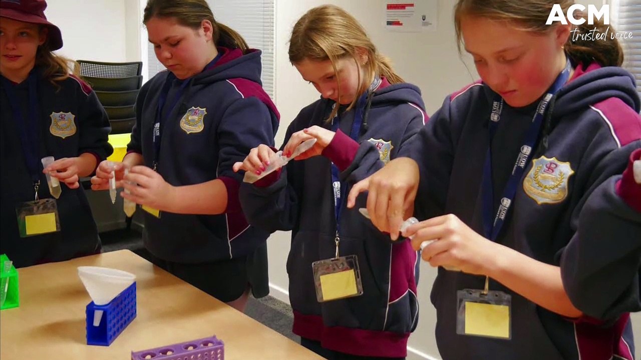 Year 6 Future Finder day at UOW Bega Campus | Bega District News ...