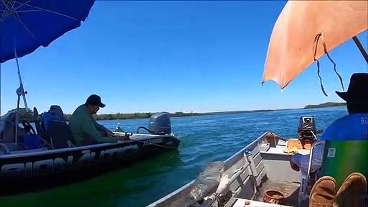 PESCARIA NO RIO PARANÁ EM BUSCA DAS PIRACAS E PIAPARAS , ARMAL BRUTO ...