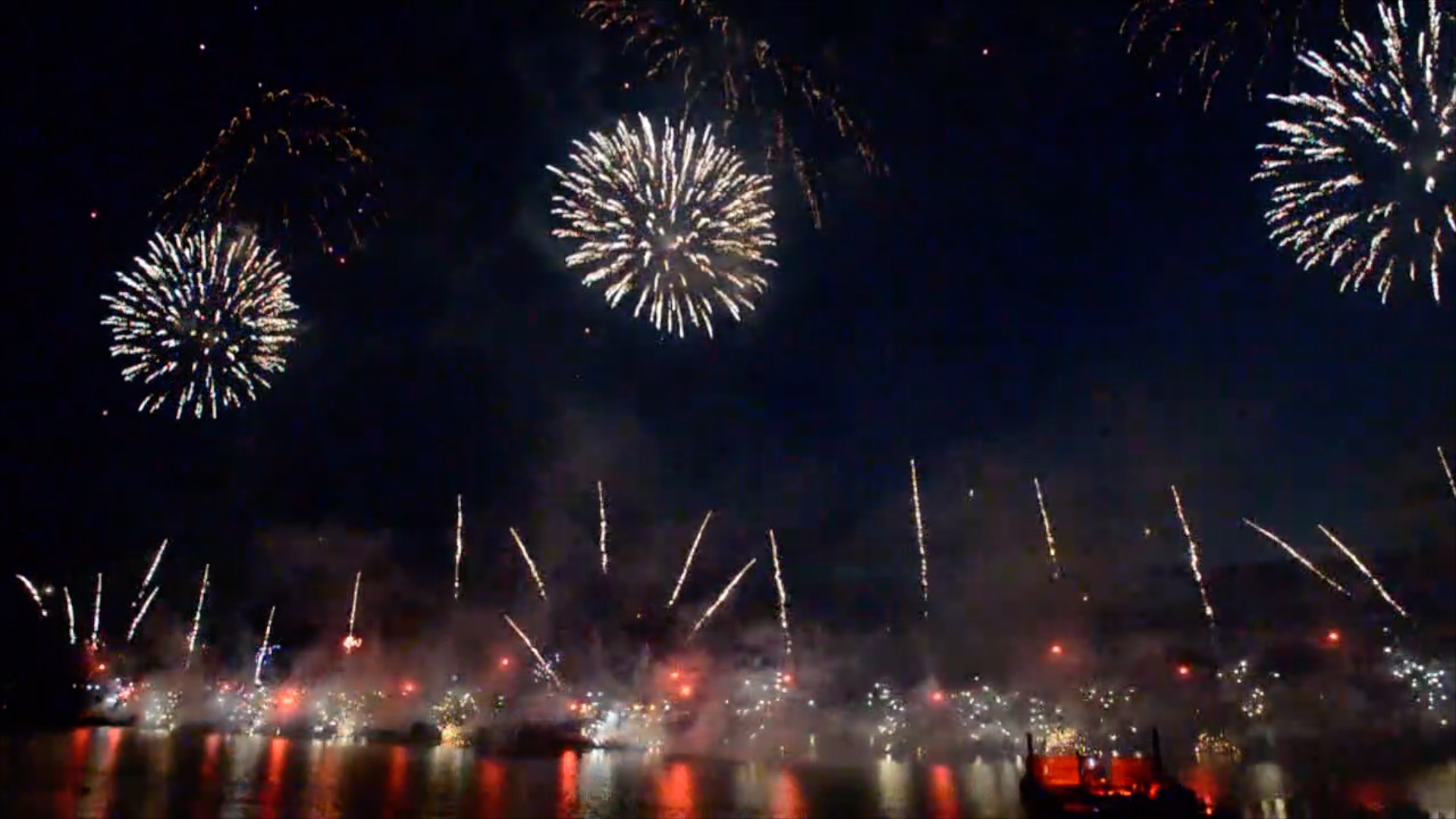 RSPCA launches campaign to raise awareness of scared animals around ...