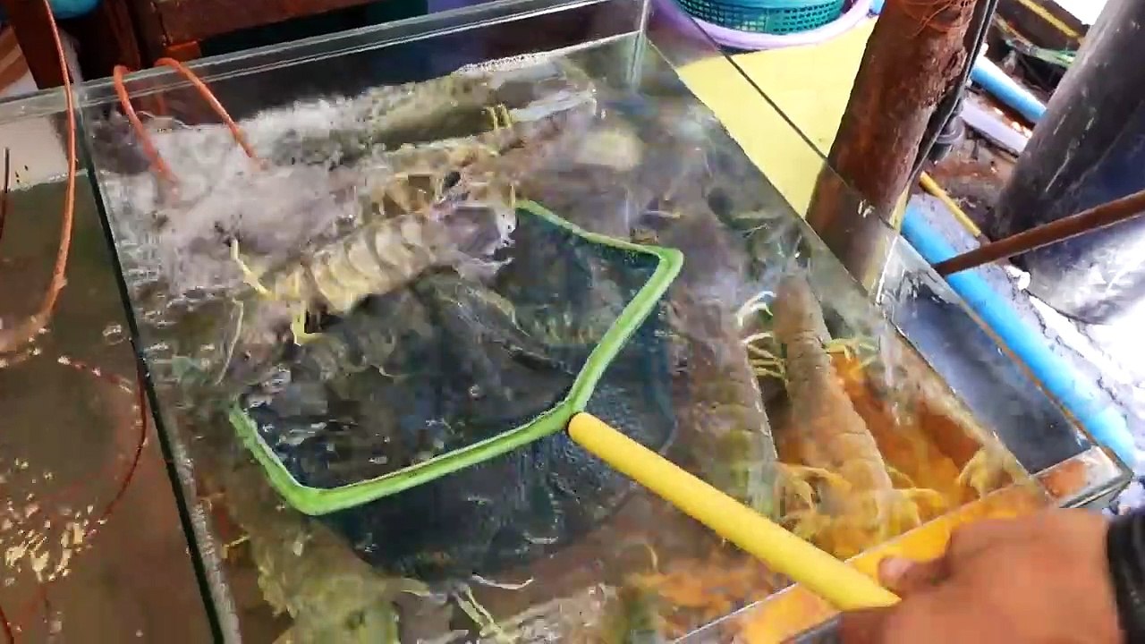ALIEN SHRIMP Thailand Street Food - video Dailymotion