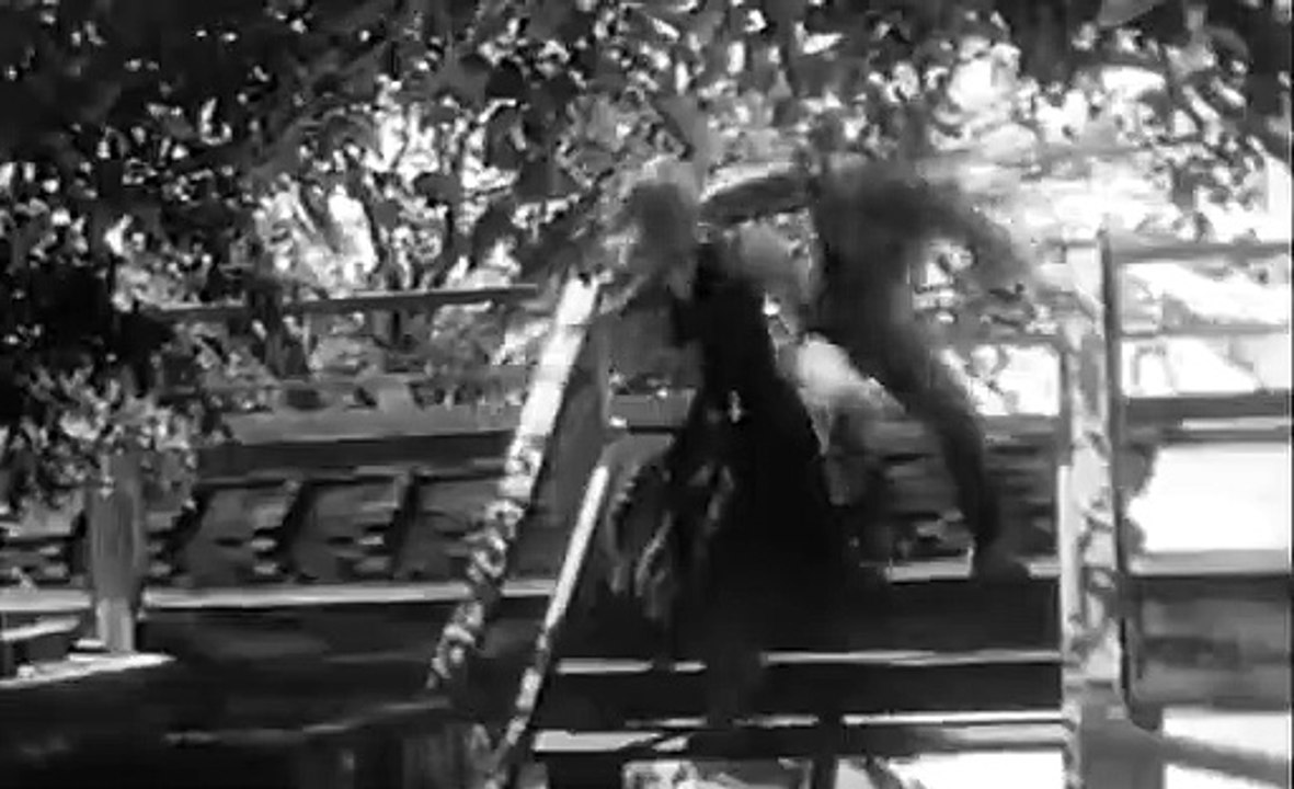 The Wild Ride Bande-annonce (EN) - Vidéo Dailymotion