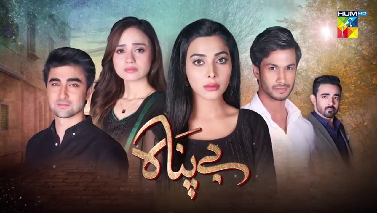 Bepanah - Episode 17 - 10th November 2022 - HUM TV - video Dailymotion