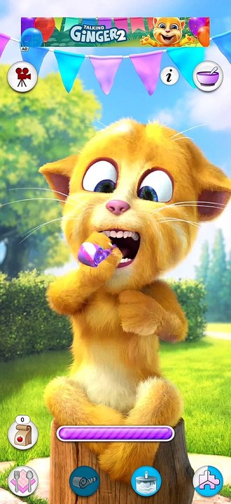 TALKİNG GİNGER MEOW MEOW - Dailymotion Video